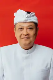 Profil Dr. IDA BAGUS RAI DHARMAWIJAYA MANTRA, S.E., M.Si. - Info Pemilu